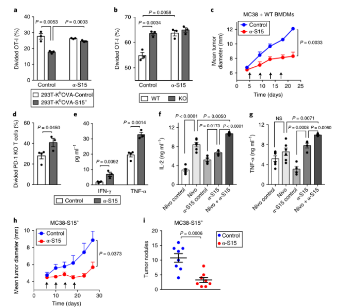 【热门靶点解析】免疫疗法新方向：Siglec-15 - 知乎