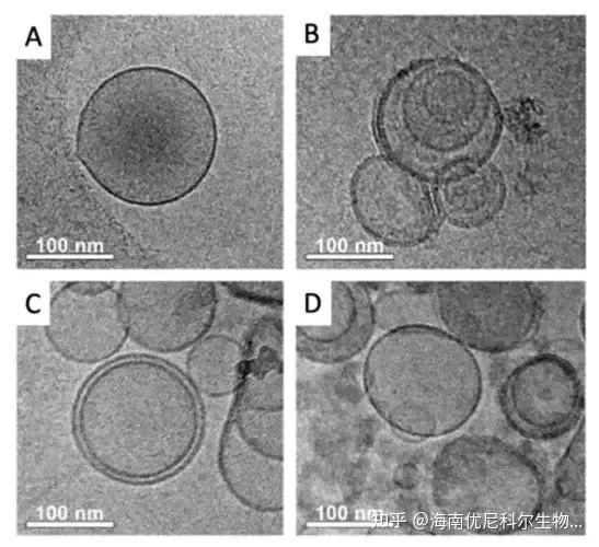 关于外泌体你了解多少？ - 知乎