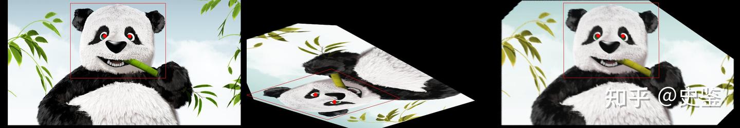 使用Kornia Container进行快速数据增广 - 知乎