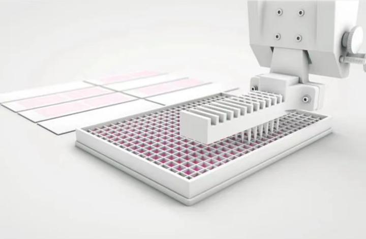 Retrogenix人类蛋白质数据库得到了再次扩建 - 知乎