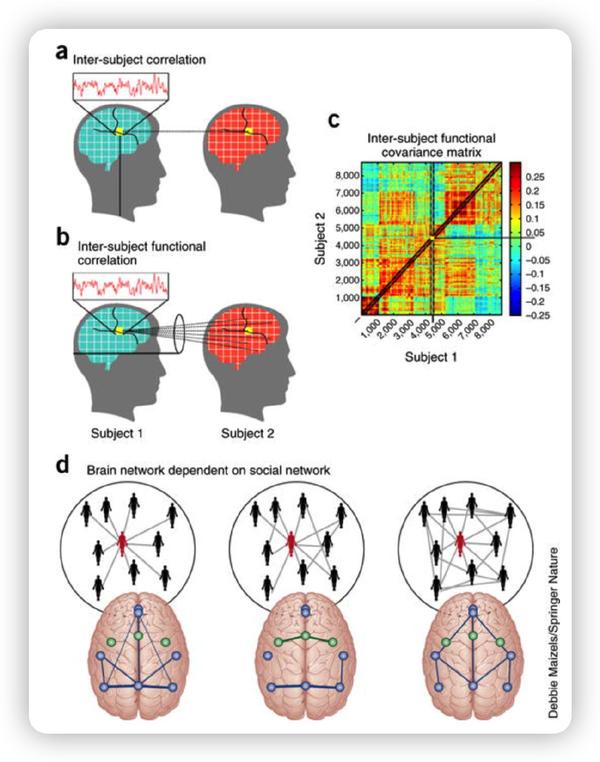 脑网络系统 - 知乎