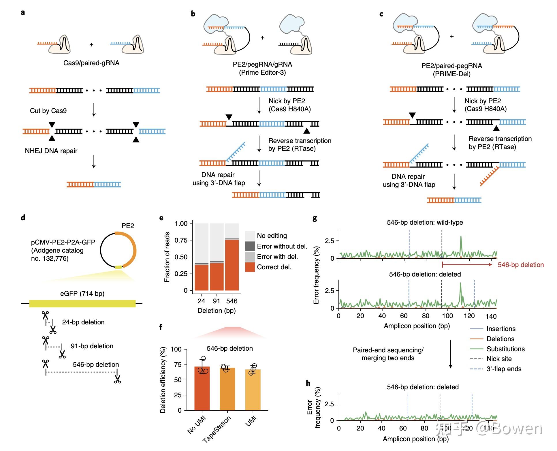 先导编辑（Prime Editing）新策略 - 知乎