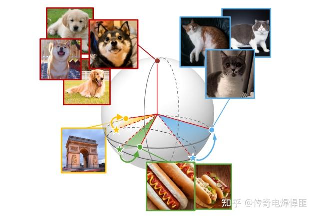 Balanced Contrastive Learning for Long-Tailed Visual Recognition——长尾分布下 ...