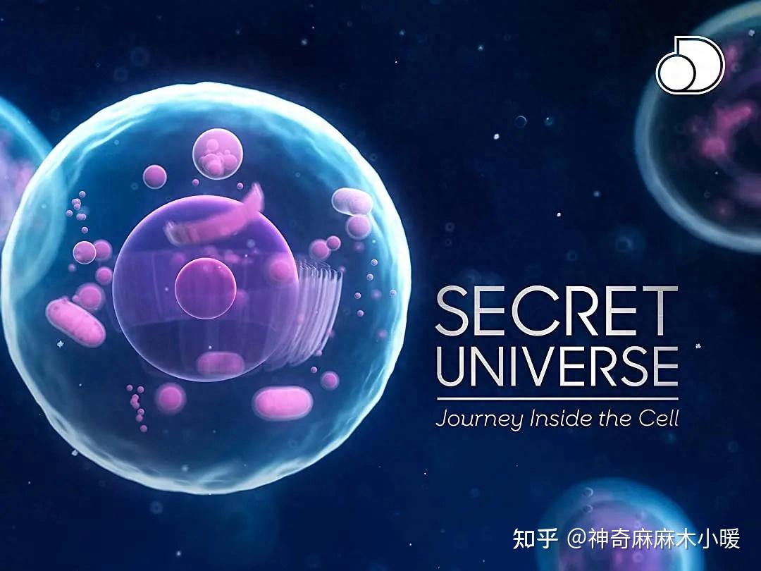 初中小四门启蒙，12部必看高分纪录片，带娃提前看起来 - 知乎