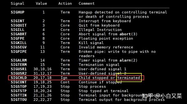 [ Linux ] 可重入函数,volatile 关键字,SIGCHLD信号 - 知乎