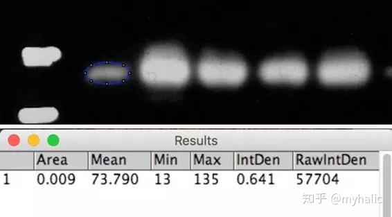 你真的用Image J测到了WB条带灰度值吗？ - 知乎
