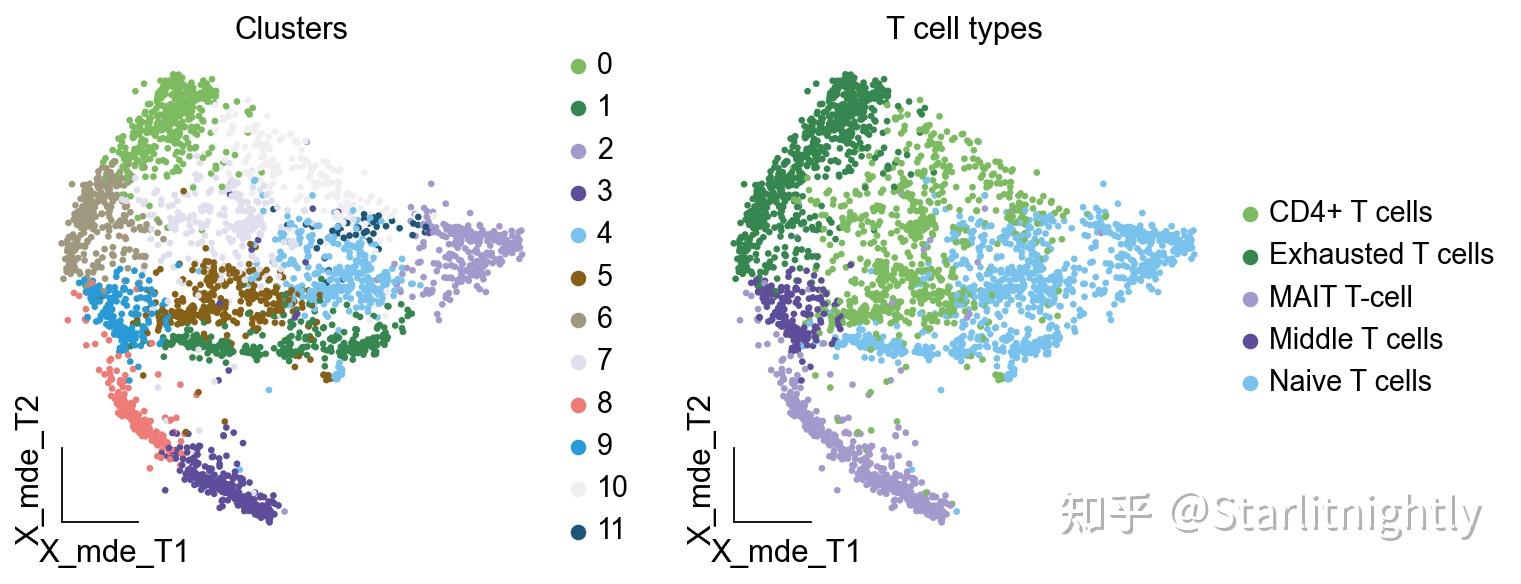 单细胞测序最好的教程：（六）细胞类型注释｜或许是全网最详细的注释教程 - 知乎