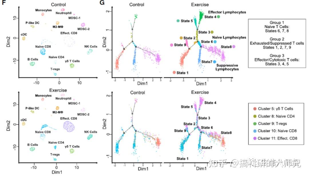 Cancer Cell | 运动可以增强IL-15/IL-15Rα信号轴，促进胰腺癌抗肿瘤免疫 - 知乎
