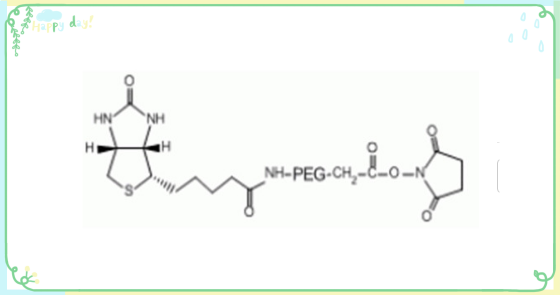 NHS-PEG-Biotin,Biotin-PEG-NHS,活性酯peg生物素生物素PEG衍生物 - 知乎