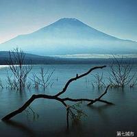 LLVM添加intrinsics - 知乎