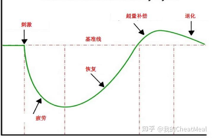 健身不仅仅是模仿，利用SRA曲线设计出自己的一周肌肉分化训练