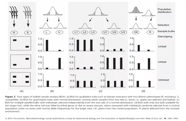 这些BSA定位过程中的问题，你会遇到吗？ - 知乎