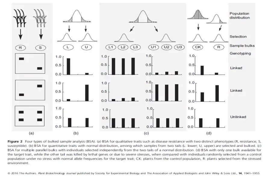 这些BSA定位过程中的问题，你会遇到吗？ - 知乎