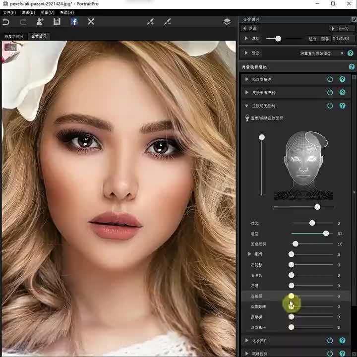人像磨皮美容PortraitPro Standard 15.7.3（一键瘦脸美妆AI软件） - 知乎