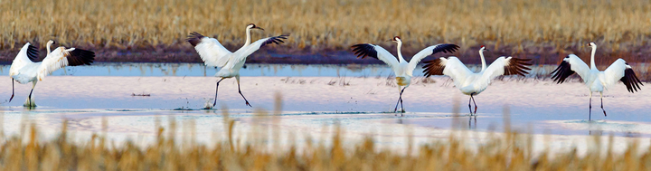 【可综合SV】Tasks and Functions - 知乎