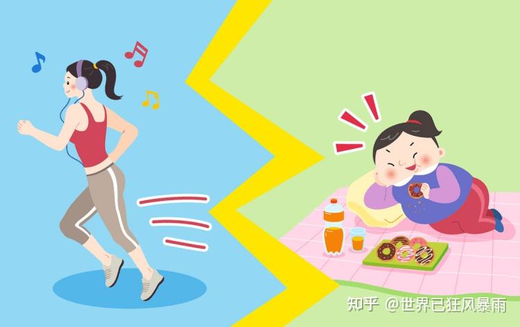 吃得少,运动多,但不能减肥?减肥,别太努力,要慢慢地调整心态 知乎