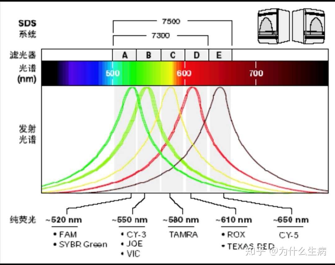 甲乙流RT-qPCR引物和探针设计 - 知乎