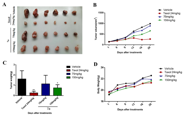 张东明组/来芳芳组合作EJMC│设计、合成具有抗肿瘤活性的新型咔唑生物碱 - 知乎