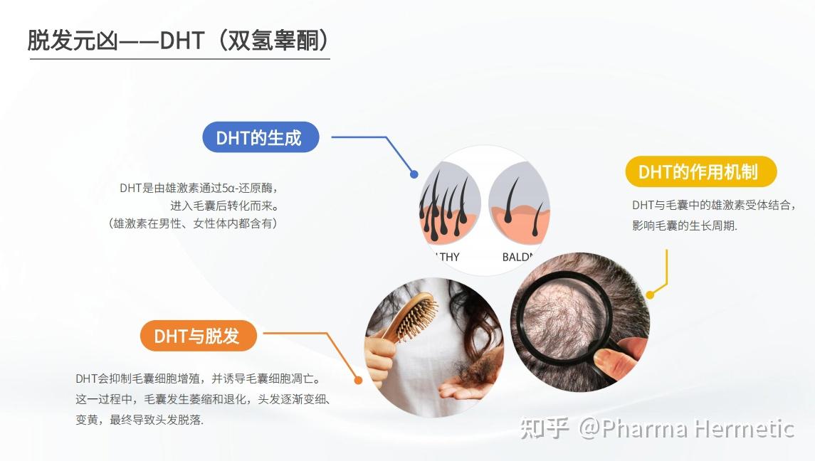脱发元凶——DHT是怎么祸害你头发的？ - 知乎