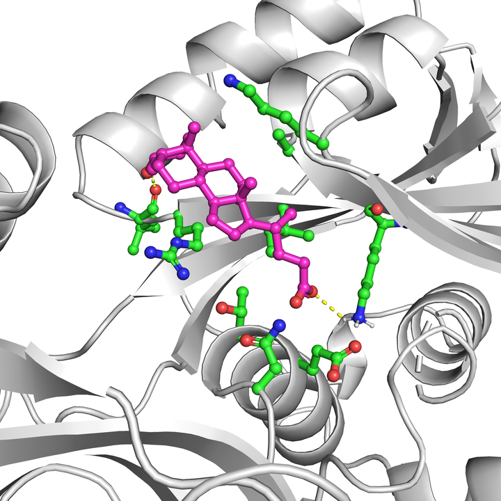 CADD，计算机辅助药物设计 - 知乎