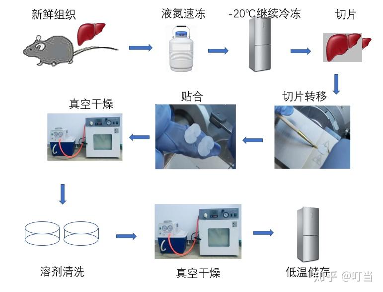 质谱成像科普：组织切片的制备 知乎
