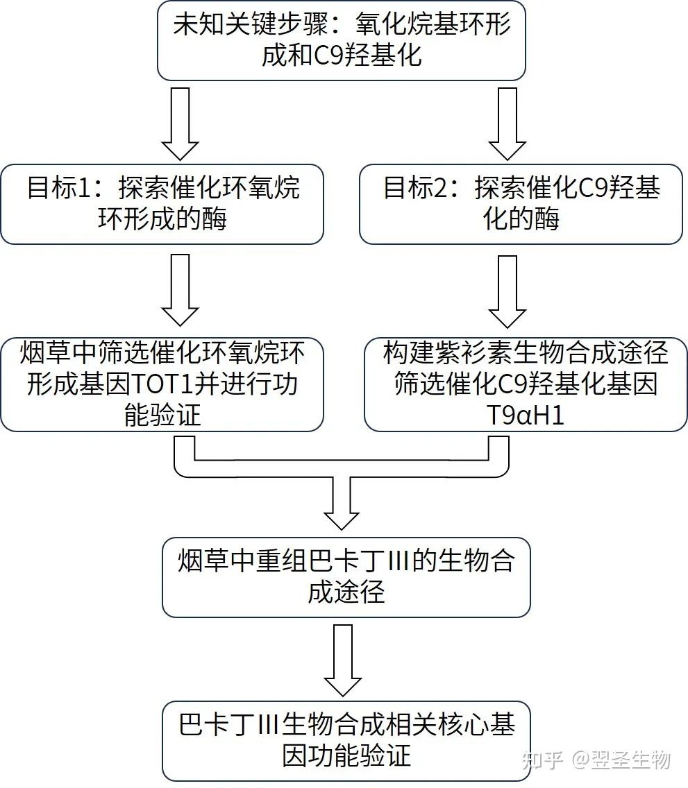 国际期刊 | Science(IF 56.9)！紫杉醇生物合成实现突破！这些研究思路值得学习 - 知乎