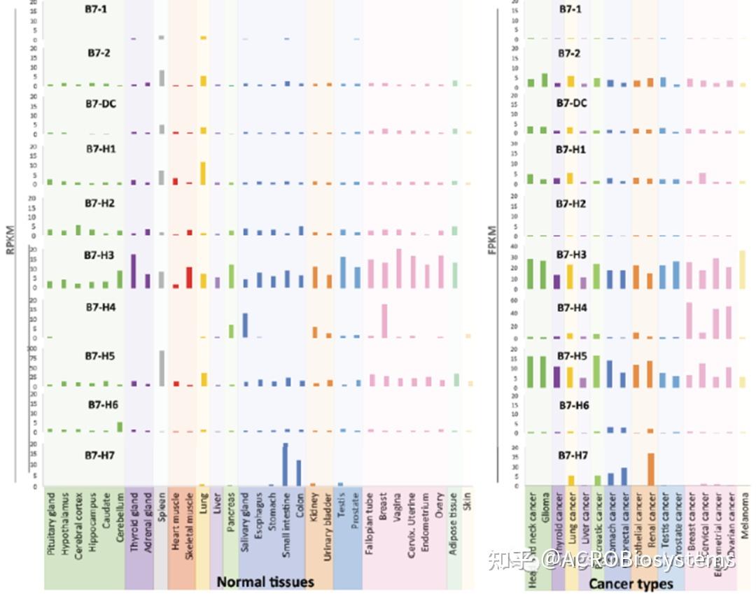 B7家族的多面光辉 - 知乎