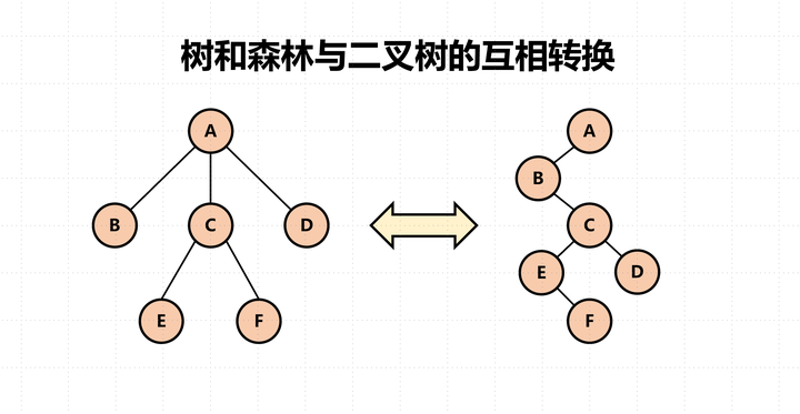 图解 数据结构:树和森林与二叉树的相互转换 知乎
