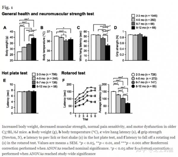 C57老龄鼠/老年鼠·一文带你了解老龄鼠通用知识 - 知乎