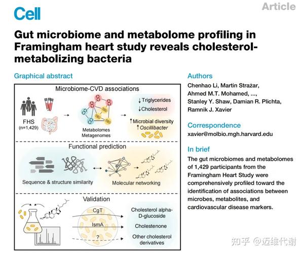 Cell | 1429例肠道菌群研究成果：振荡杆菌显著降低胆固醇 - 知乎