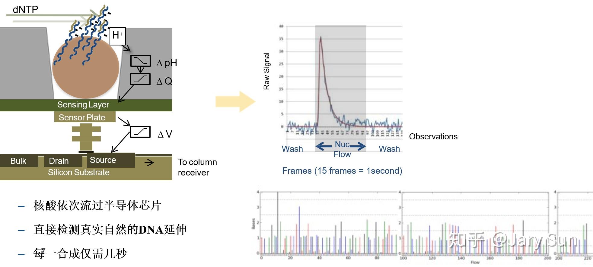 Ion Torrent 基因分析仪——介绍及原理 - 知乎