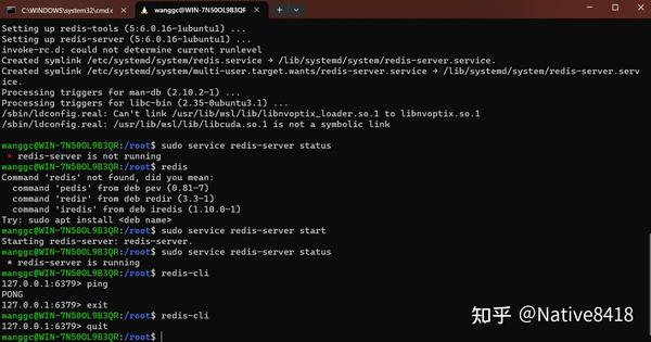 一小时实践入门 Redis - 知乎