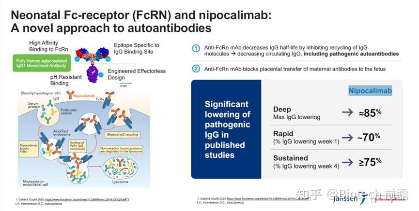 FcRn抗体丨 和铂医药三期临床成功，强生纳入突破性疗法 - 知乎