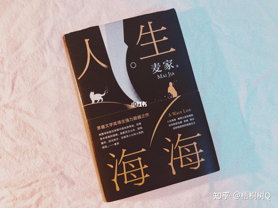 关于《人生海海》我想说 知乎