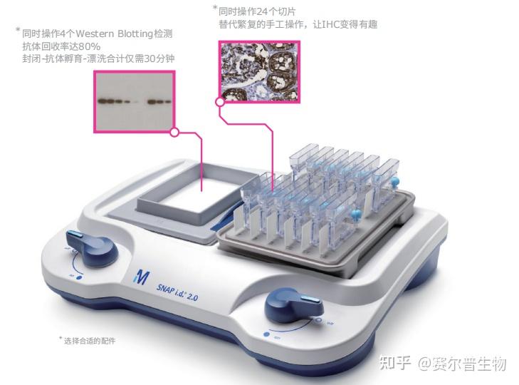 打破WB操作玄学：这些你必须知道的WB知识点 - 知乎