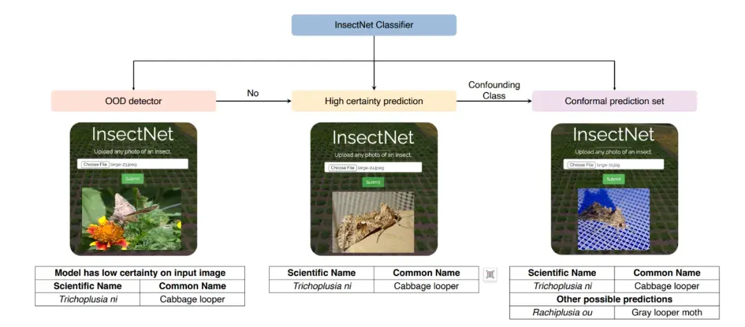 InsectNet：基于端到端机器学习管道实时识别昆虫 - 知乎