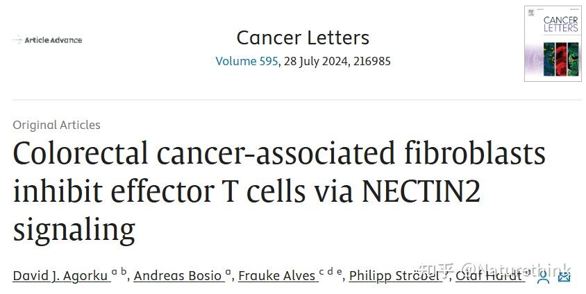 结直肠癌相关成纤维细胞通过 NECTIN2 信号抑制效应 T 细胞 - 知乎