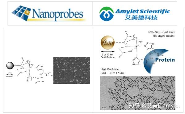 Nanoprobe Ni-NTA纳米金研究 - 知乎
