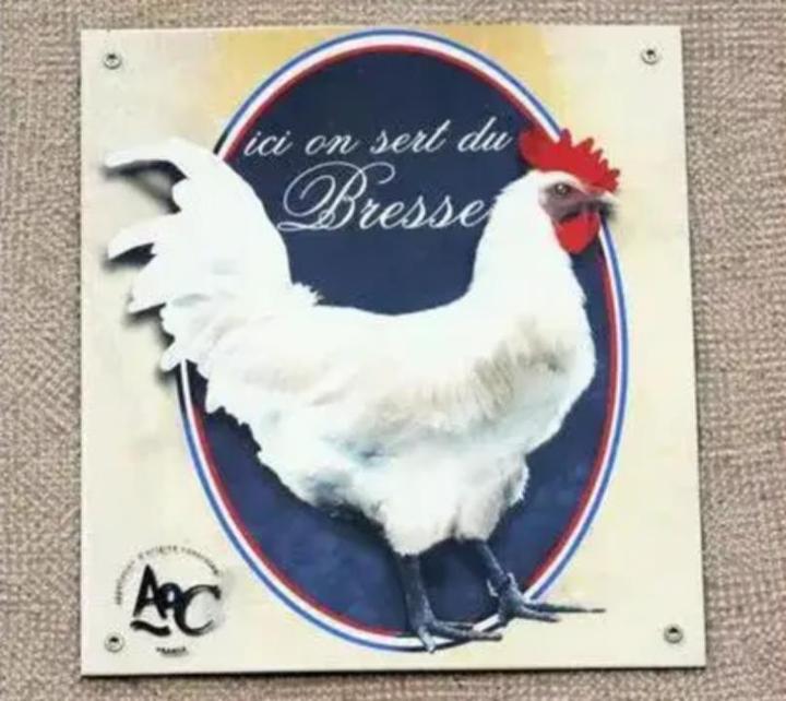 “鸡中贵族”布雷斯鸡 Poulet de Bresse （之五） - 知乎