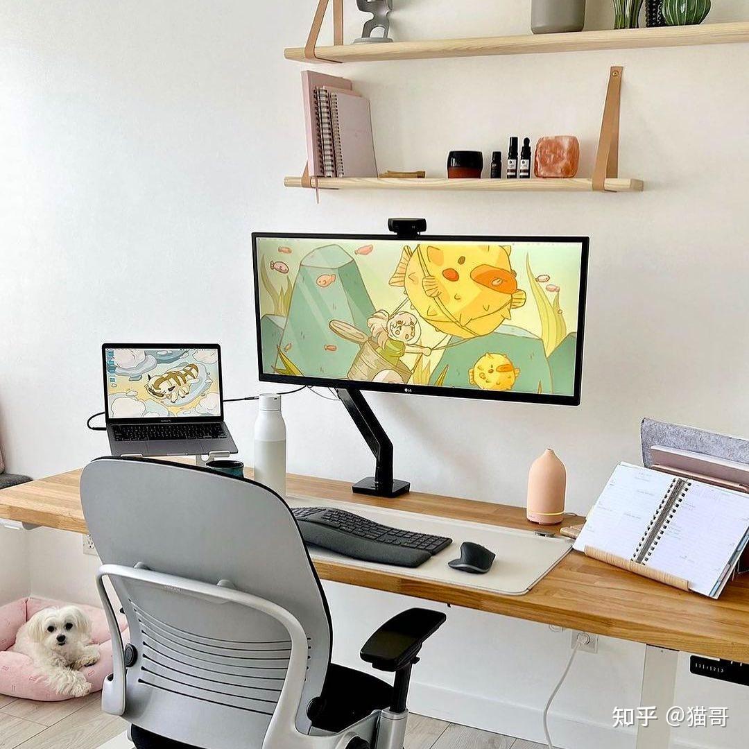 Dart Constructors 构造函数使用技巧整理 - 知乎