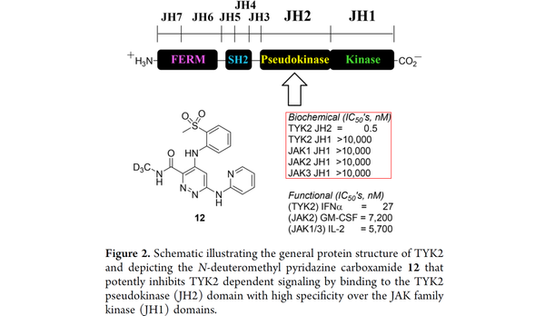 TYK2 JH2变构抑制剂: 专利分子与结合模式 - 知乎