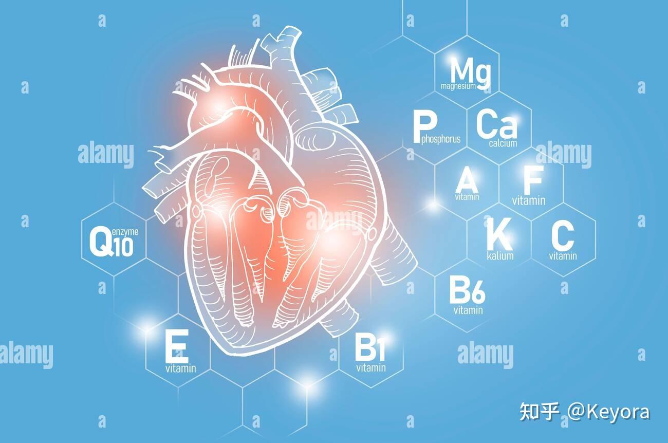 浅谈 - 辅酶 Q10 - 知乎