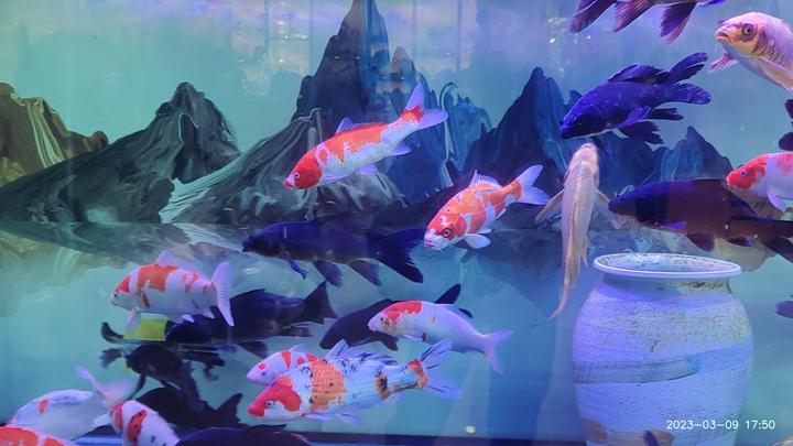 对于 C# 中 Task 的 StartNew 与 WhenAll 相互配合的实验 - 知乎