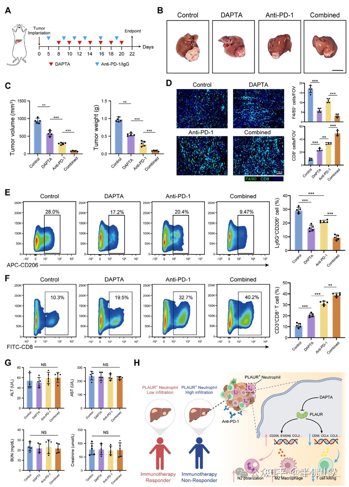 最新14+生信，单细胞识别PLAUR+中性粒细胞塑造免疫抑制微环境，抑制PLAUR 增强抗 PD1 疗效。高分文章经典思路！ - 知乎