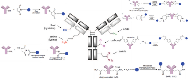 13-曜享干货 | 连接子（Linker）——mAb到ADC之路的关键 - 知乎