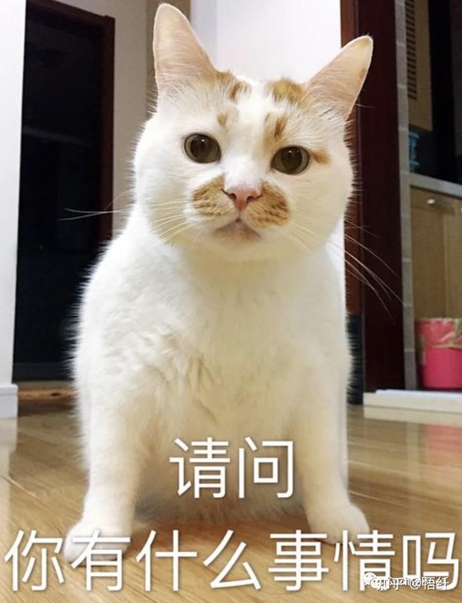 导出下拉列表的两种小技巧【EasyPoi实战系列】- 第473篇 - 知乎