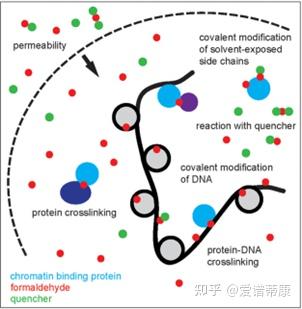 “片”舟已过万重山——“FFomic” · FFPE组织样本切片 蛋白质组学检测技术 - 知乎