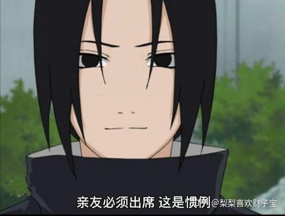 一只小鼬鼬系列图片,鼬图片超帅图片,鼬图片超帅图片(第3页)_大山谷图库