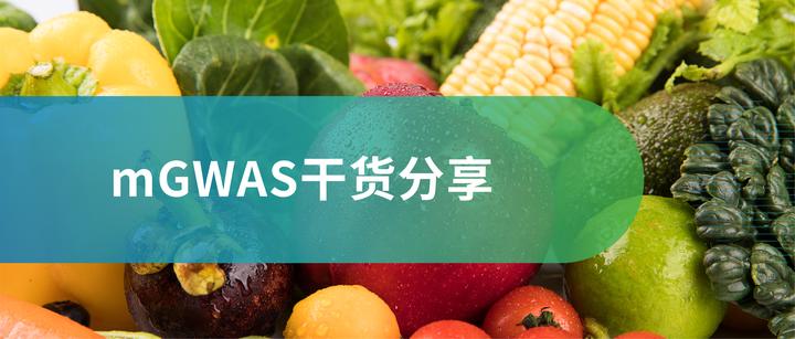 一文带你了解mGWAS在植物领域的经典研究思路！ - 知乎