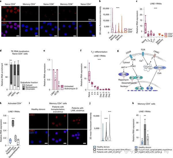 LINE1 are spliced in non-canonical transcript variants to regulate T ...